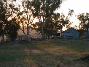 Watercolor Landscape Painting - Old Shearing Shed at Sunset