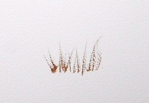 Painting grass with watercolors - Painting With Watercolors