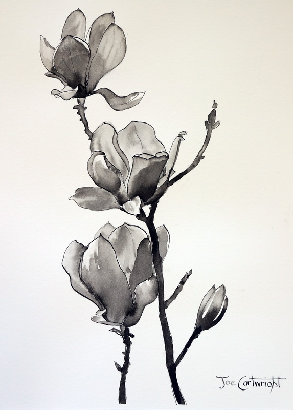 Watercolor Flower Demonstrations On Patreon Painting With Watercolors